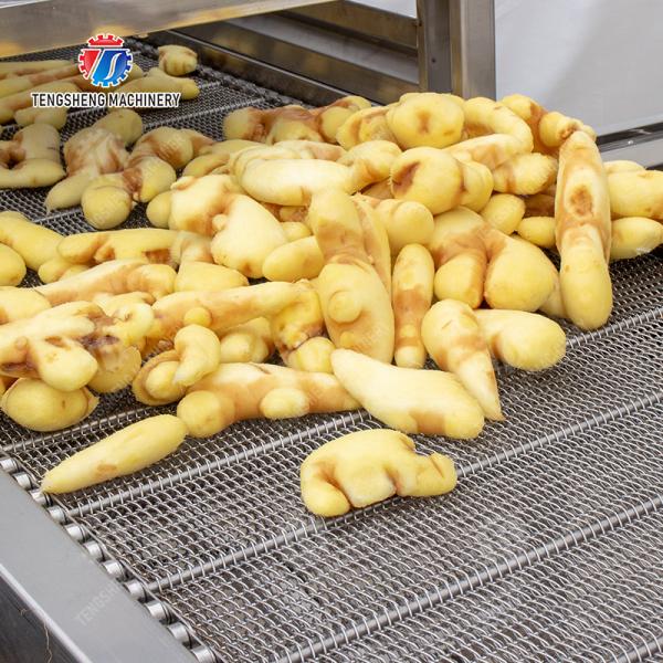 Quality Brush bubble cleaning, drying, selection and cutting production line Revolutioni for sale
