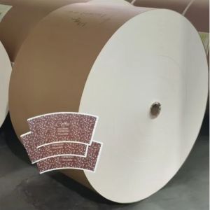 Quality Eco-friendly Factory Food Packaging Cup Stock Paper PE Coated Paper Roll for for sale