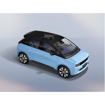 Quality 3.8m mini electric car for sale