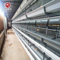 Quality Battery Chicken Cage for sale
