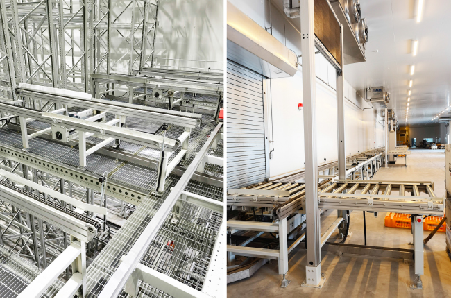 Cold Storage Warehouse Pallet Stacker Crane ASRS Logistics Center Automatic Storage And Retrieval System