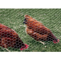 Quality Hexagonal Wire Mesh for sale