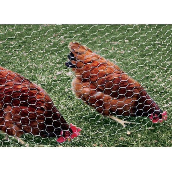 Quality PVC Coated Galvanized Chicken Wire Mesh 0.5-5.0mm Wire gauge Free Sample for sale