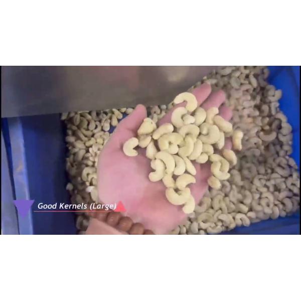 Quality AI Powered Cashew Sorting Machine Deep Learning Technology with 12 Lanes+12 for sale
