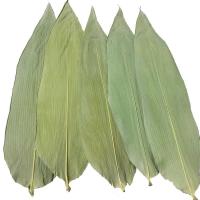 Quality Eco Friendly 33cm Fresh Bamboo Leaves For Sushi Food for sale