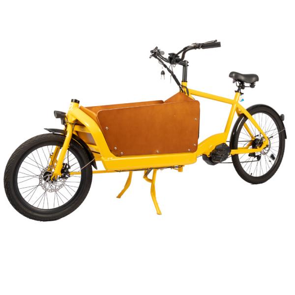 Quality Drop Ship City Tricycles with Rainproof Front Wooden Box Power Supply lithium battery for sale