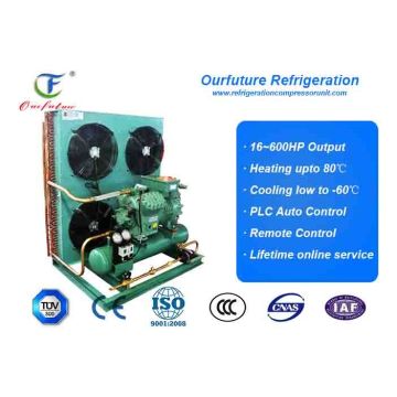 Quality Supermarket Walk-In Freezer Condensing Unit Danfoss Low Temperature for sale