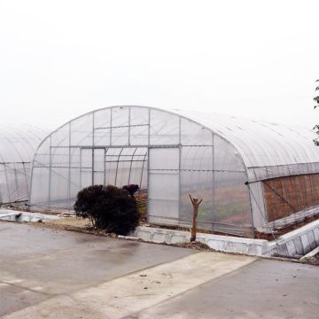 Quality 150 micro PE Film Greenhouse Ebb And Flow Rolling Bench Seedbed Greenhouse With for sale
