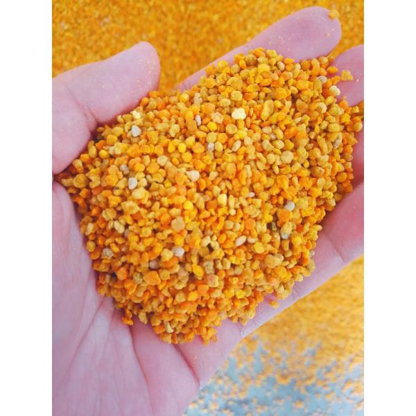 Quality Mixed Fresh Raw Bee Pollen Big Granule Full of Nutrition Mixed Color Sunflower Pollen for sale