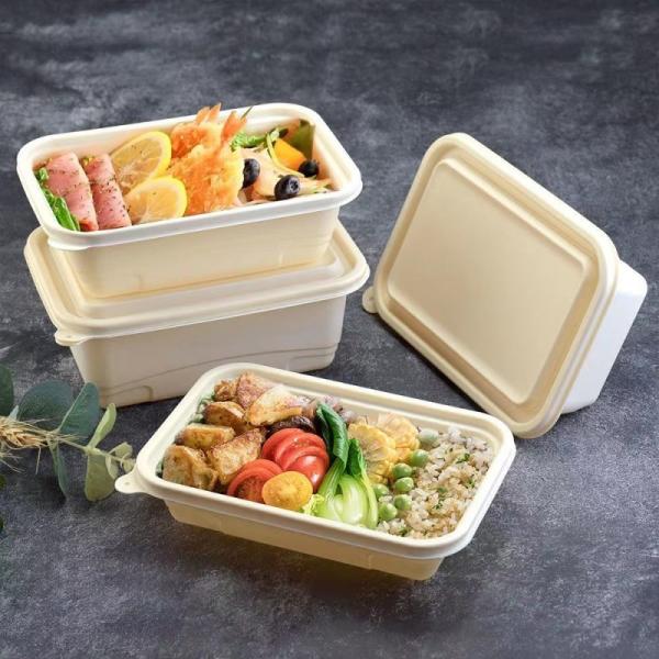 Quality 500 600ML Disposable Compostable Cornstarch Meal Lunch Box Fast Food Packaging for sale