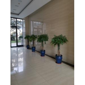 China Factory - Changzhou Pengyi Textile Co., Ltd.