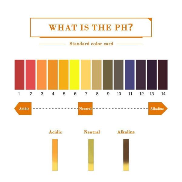 Quality PH Test Strips 1-14 Litmus Paper For All Solution Chemical Dry ODM Customized PH for sale