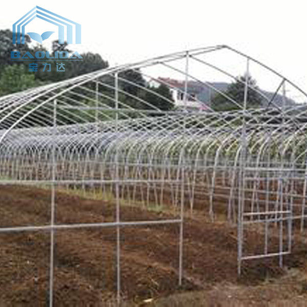 Quality Polytunnel Sri Lanka Colombo Steel Frame Greenhouse Single Span for sale