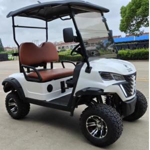 Quality Electric Four Wheel New Energy 2 Seater Off Road Lifted Golf Carts for sale