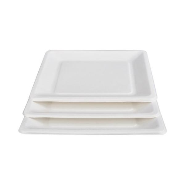 Quality 9in 10in Eco Friendly Compostable Sugarcane Paper Plates Dessert Square Cake for sale
