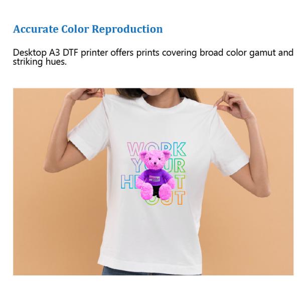 Quality Desktop 300mm DTF Transfer Inkjet Machine Tshirt Printer with F1080 XP600 Head for sale