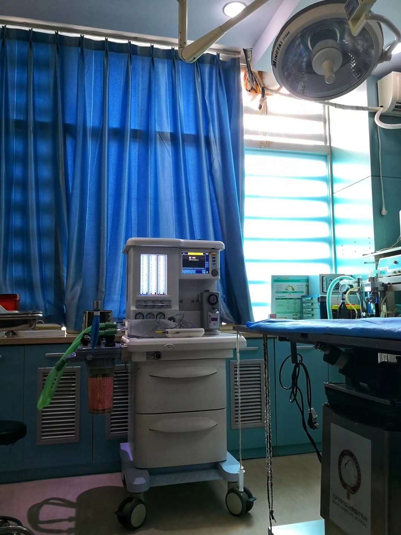Hospital  Veterinary Anesthesia machine Work Station