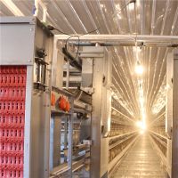 Quality Modern 128 Birds Battery Layer Chicken Cage For Pakistan Farm for sale