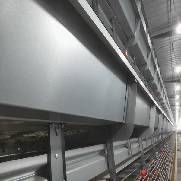 Quality 3-9 Floor Farm Battery Chicken Cage With Automatic System for sale