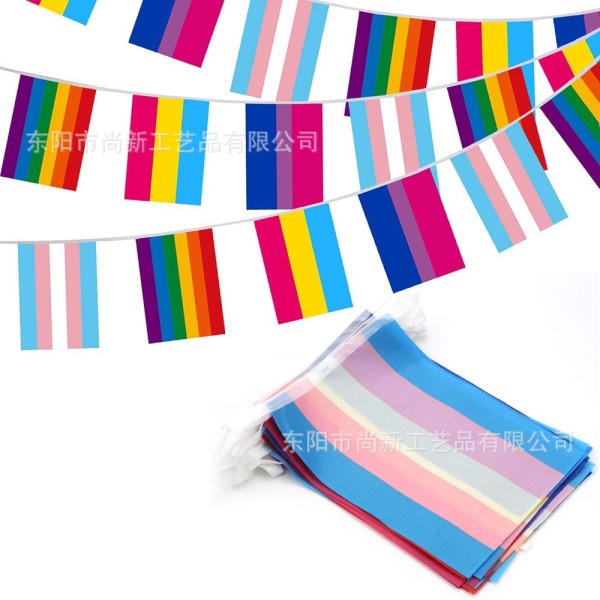 Quality Custom Logo Polyester LGBT Flag Lesbian Gay Pride Triangle Flag for sale