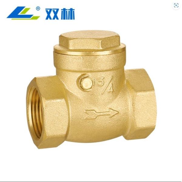 Quality Horizontal Brass Swing Type Check Valve for Medium Temperature Applications for sale