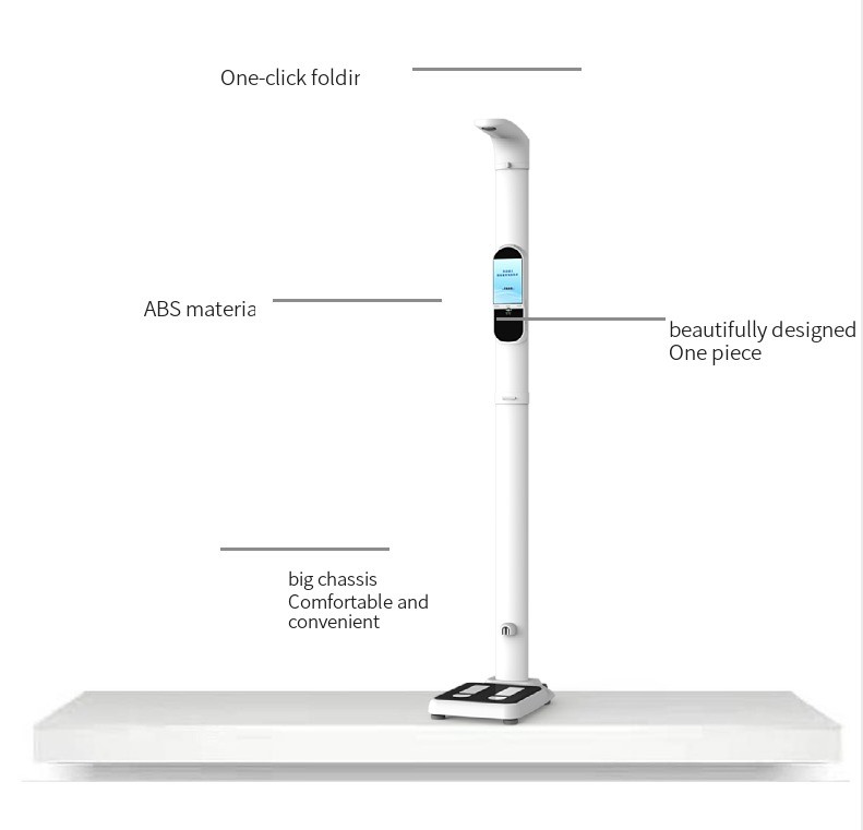 Quality end Precision Sensor Folding Height and Weight Scale G.W 31kg Weight Division 0 for sale