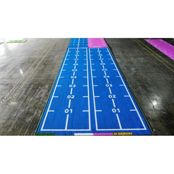 Quality 63000 Stitches/m2 Density Dorelom Indoor Gym Flooring Turf with Double PP NET for sale