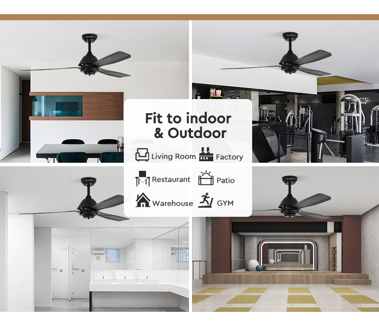 ceiling fan