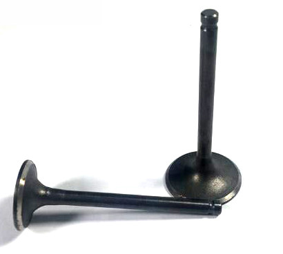 Quality OEM Standard Stainless Steel GY6 Motorcycle Engine Valve for sale