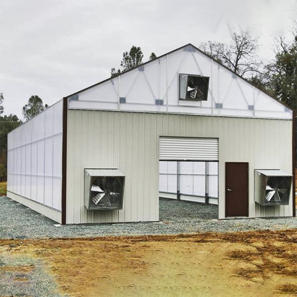 Quality Single-Span Hoop Greenhouse Automatic 100% Blackout Light Deprivation Greenhouse for sale