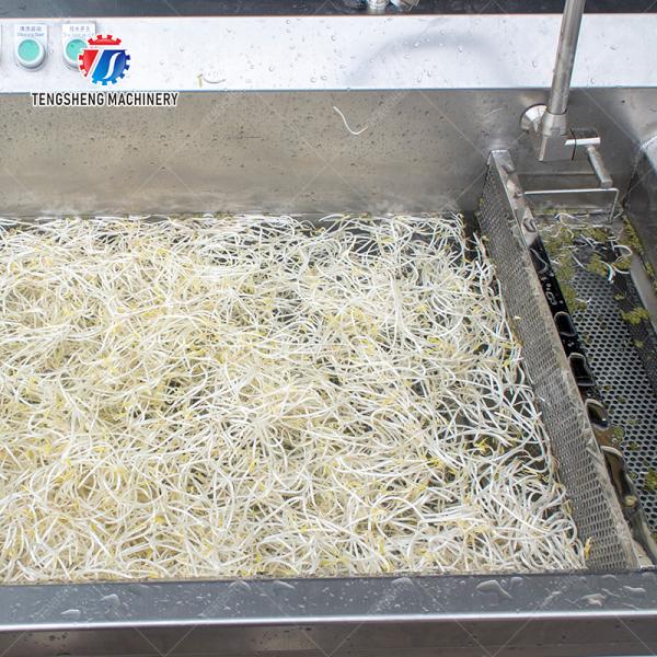 Quality Single cylinder fruit and vegetable washing machine with slag separator Leaves for sale