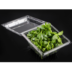 Quality Customized Design Recyclable PET Blister Packaging with Heat Sealing for for sale