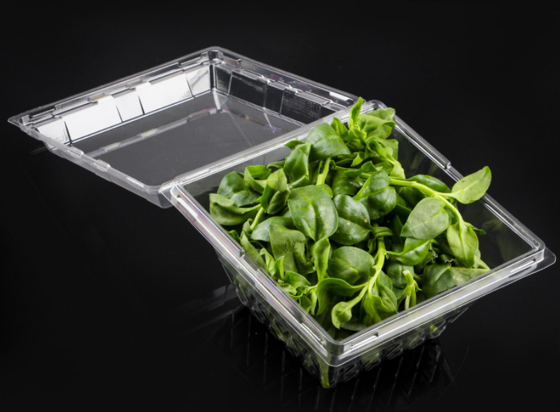 Quality Customized Design Recyclable PET Blister Packaging with Heat Sealing for Transparent Fruit Packaging Box for sale