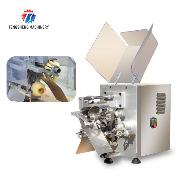Quality Guava Fixed Material Socket Fruit And Vegetable Peeler Machine Electric 304 SS Apple for sale