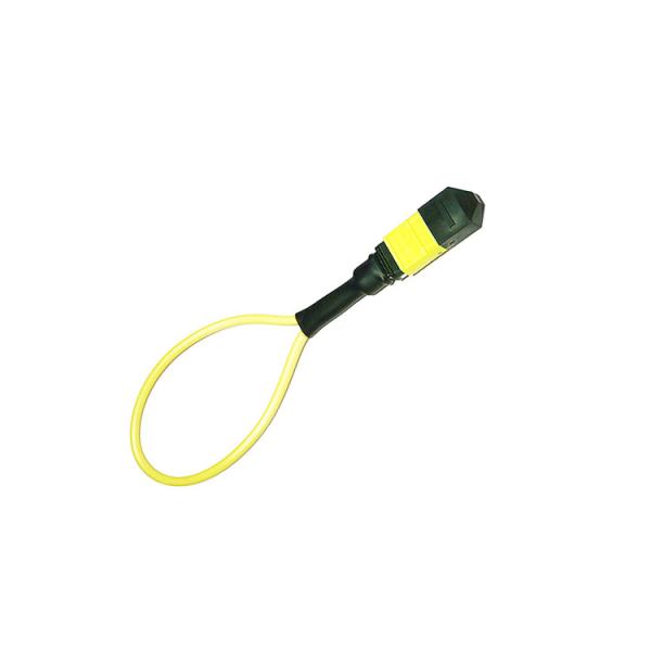 Quality Male Female Fiber Optic Loopback SM MM OM3 OM4 OM5 MPO Loopback for sale