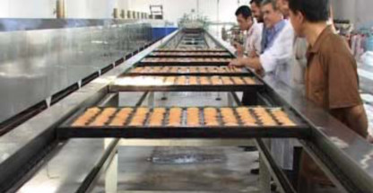 Quality Full Automatic Custard Pie Cake Production Line, Cup Cake Production Machine, for sale