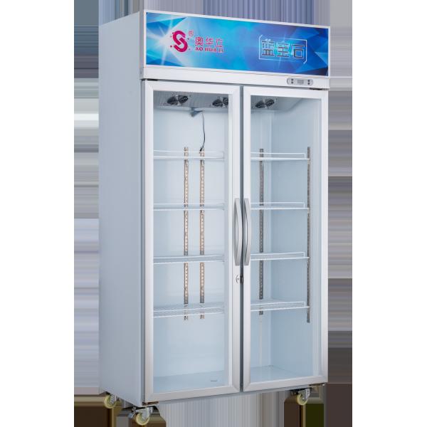Quality Silent Compressor Commercial Display Refrigerator Low Noise Double Door Glass Fridge for sale