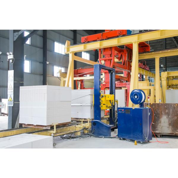 Quality 1000KG Aerated Brick Horizontal Packing Machine for sale