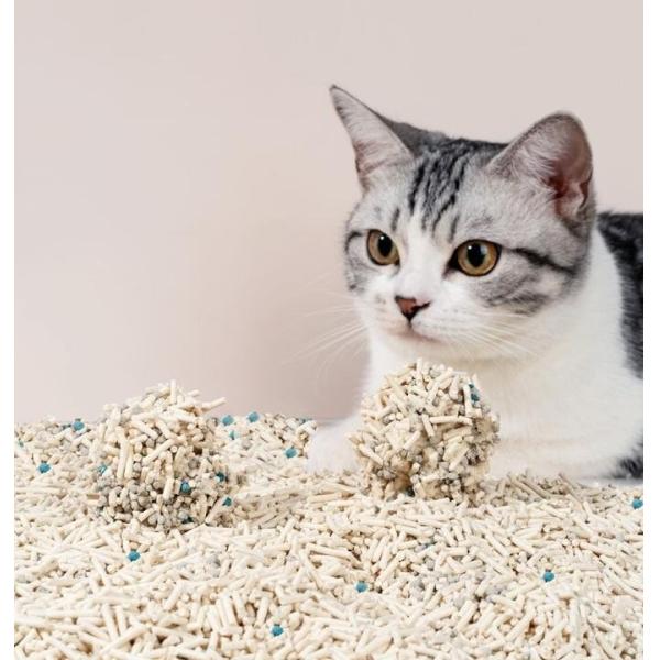 Quality Strong Clumping Mixed Cat Litter Dust Free Kitty Litter Sand for sale