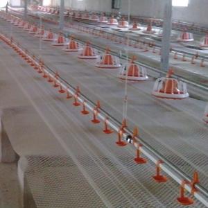 Quality Chicken Nipple Drinker System for sale