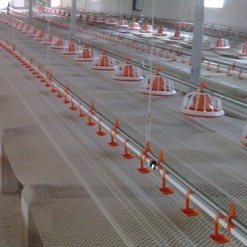 Quality 304 SS Broiler Breeder Farm Nipple System In Poultry Farm for sale