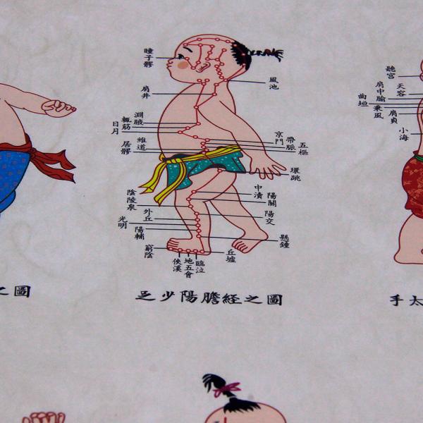 Quality Rice Paper Scroll Chinese Medicine Charts Suitable Mirror Screen for sale