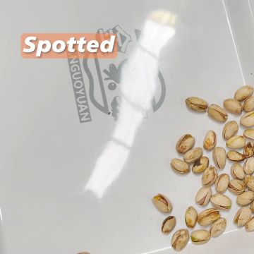 Quality 20 Feed Channels Pistachio Nuts Sorting Machine With Automatic Cleansing for sale