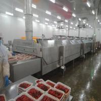 Quality N2 Liquid Nitrogen Super Low Temperature Freezer 2800KG/H 3500KG/H for sale