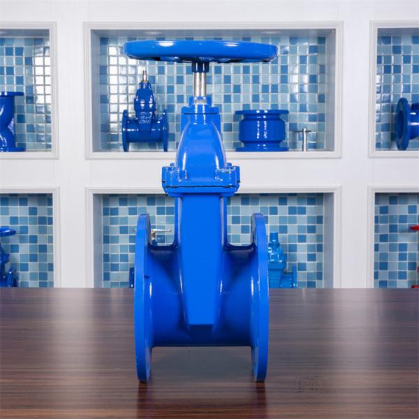 Quality GGG40 QT450 Elastic Seat Gate Valve PN16 Carbon Steel Gate Valve for sale