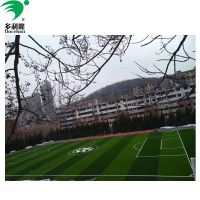 Quality CERTIFICATION ISO14001 40mm/50mm/60mm Artificial Grass for Football Field Best for sale