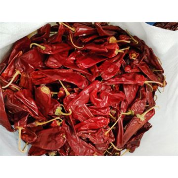 Quality AD Dried Yidu Chilli Round Shape 8000SHU Mild Dried Red Chilies for sale