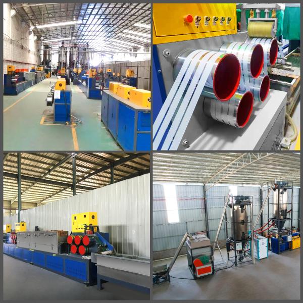 Quality High-Precision PET Strap Making Machine with Easy Maintenance for sale