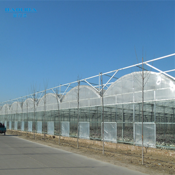 Quality Plastic Shed Multi Span Greenhouse / Agricultural Polythene Grow Tunnel for sale