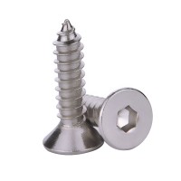 Quality CSK Head Hex Slot Self Tapping for sale